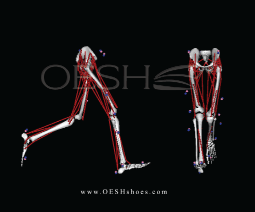 The Ultimate Gait Analysis | OESH Shoes